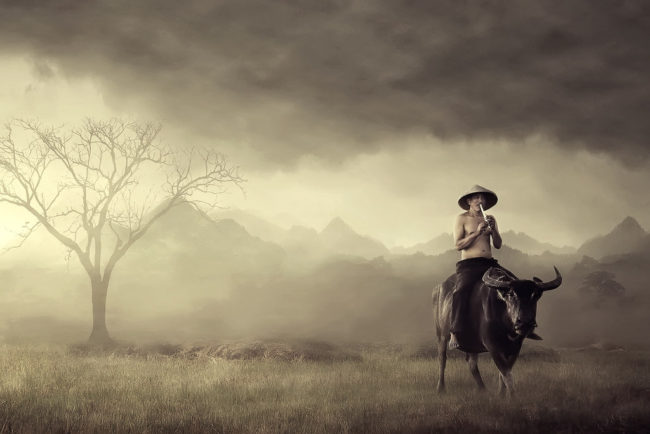 Dramatic Art Photography By Sukron Mamun Which Will Leave You ...