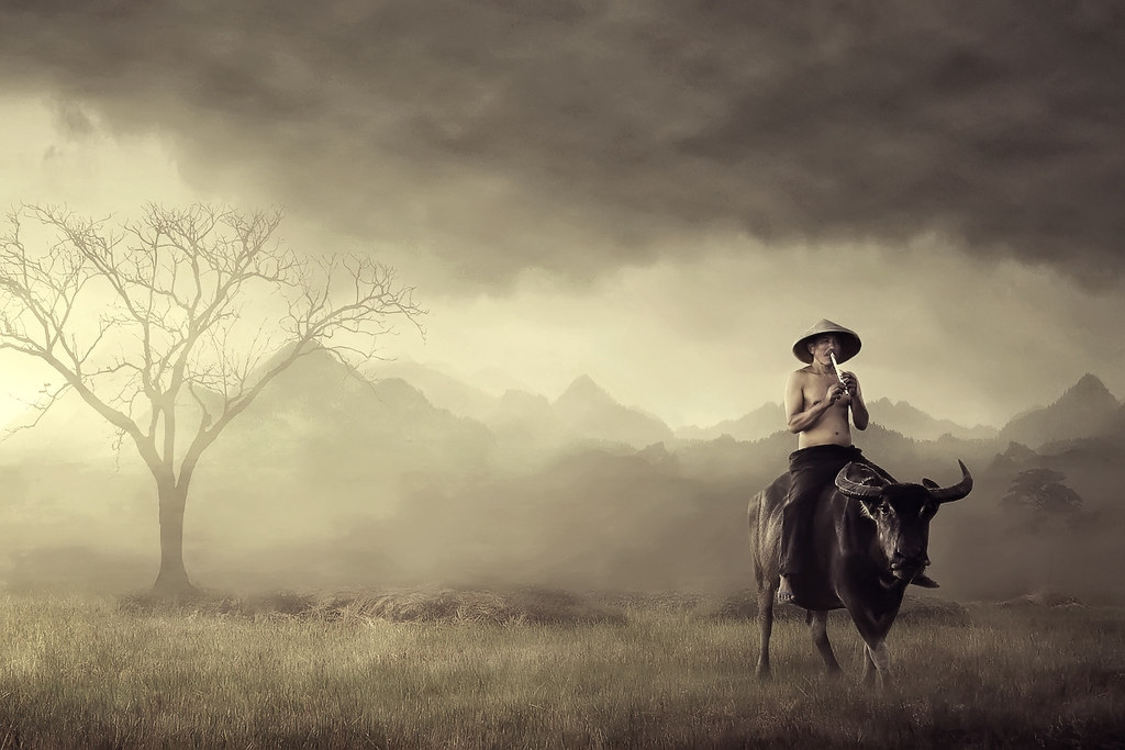 Dramatic Art Photography By Sukron Mamun Which Will Leave You ...