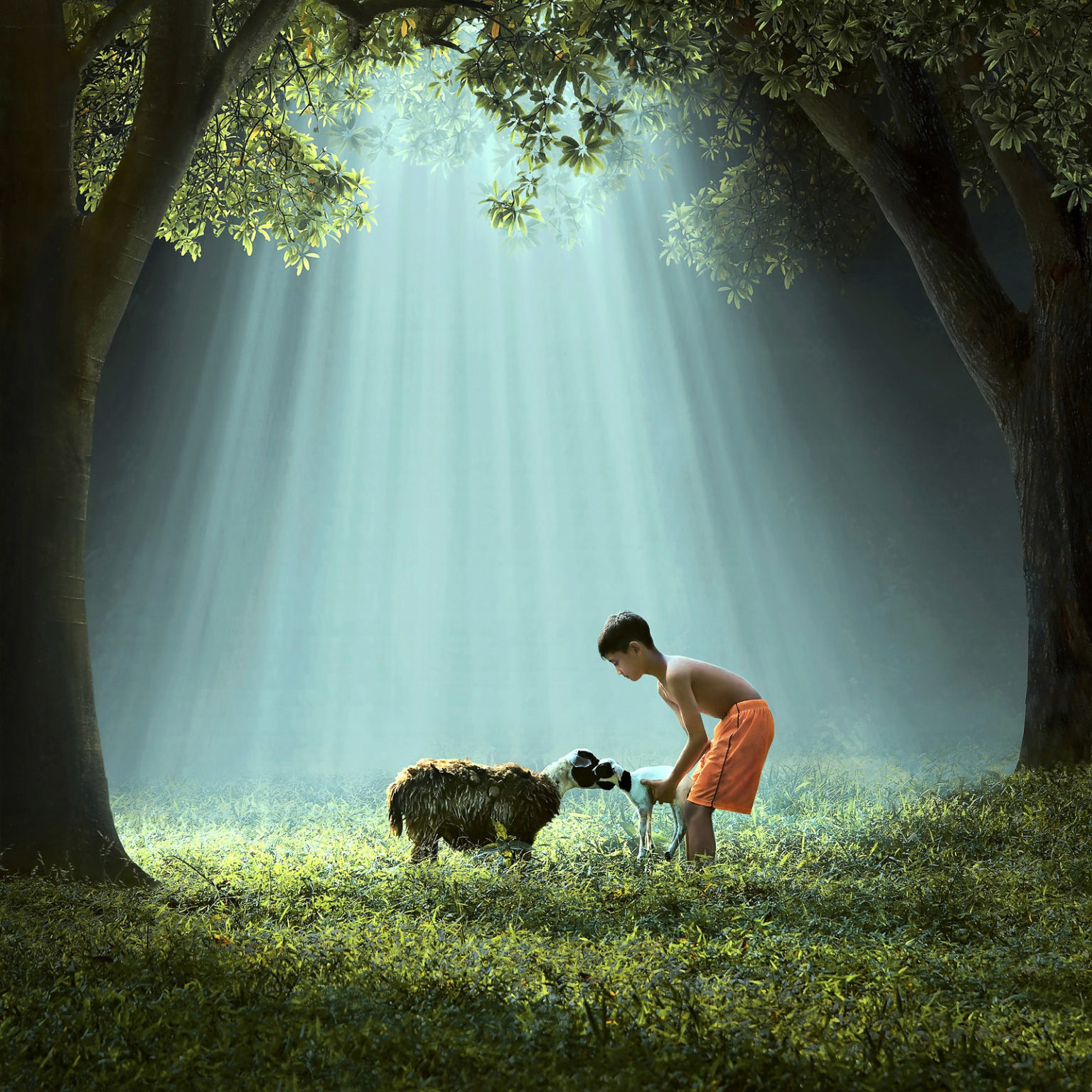 Dramatic Art Photography By Sukron Mamun Which Will Leave You ...