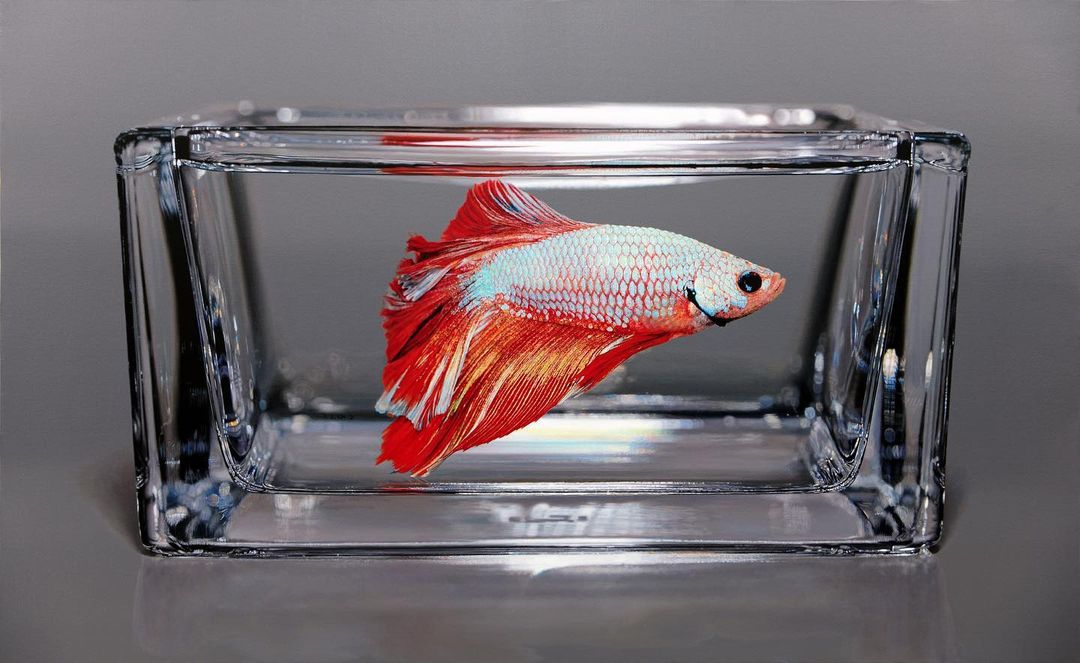 These Realistic Animal Paintings Show How We Neglect Them » Design You ...