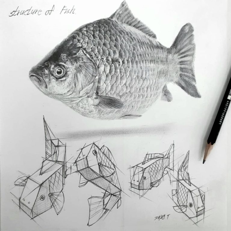 This South Korean Artist’s Structural Drawings Will Help You Improve ...