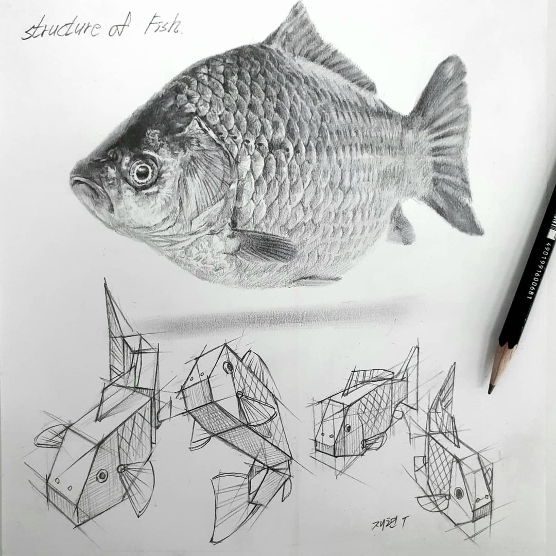 This South Korean Artist’s Structural Drawings Will Help You Improve ...