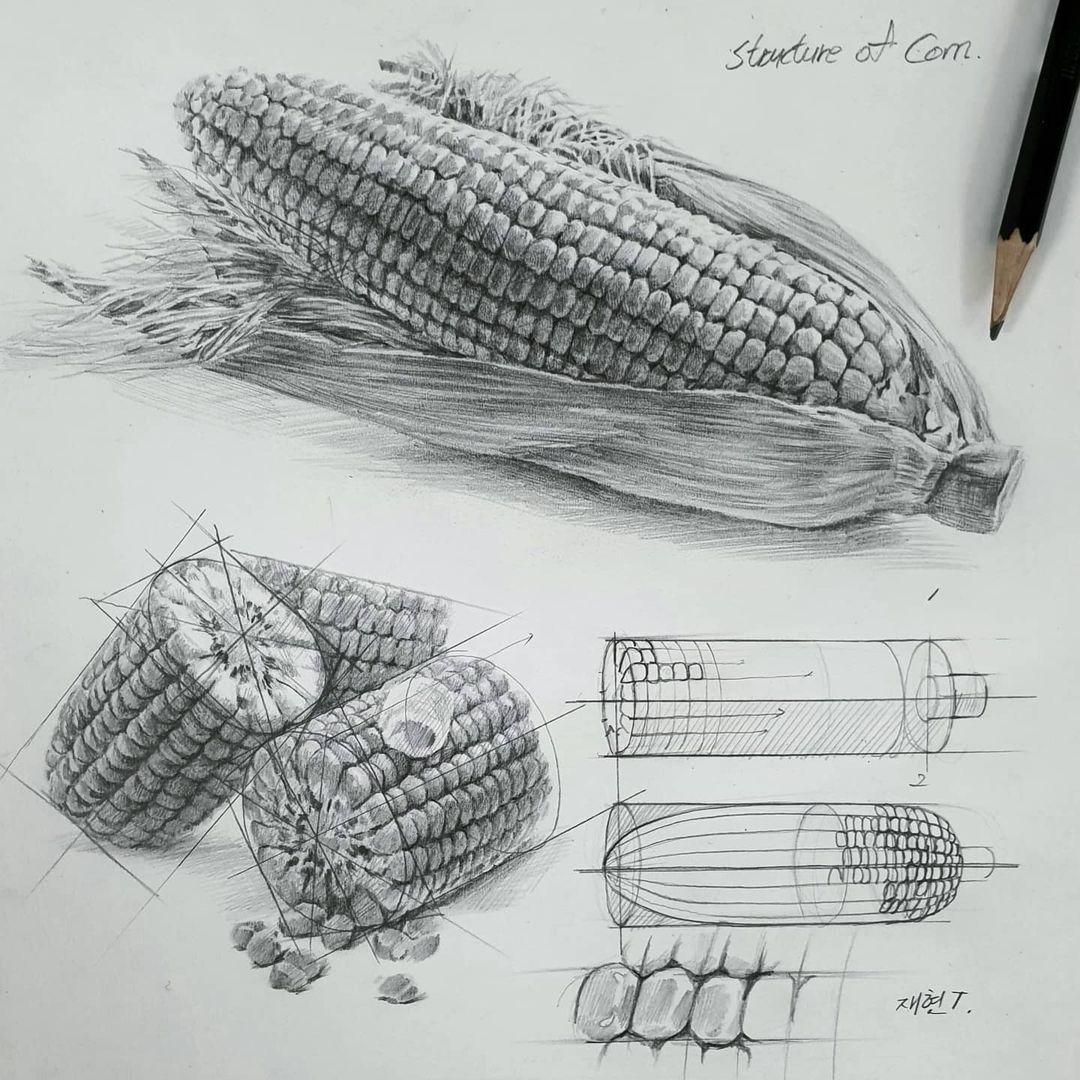 This South Korean Artist’s Structural Drawings Will Help You Improve ...