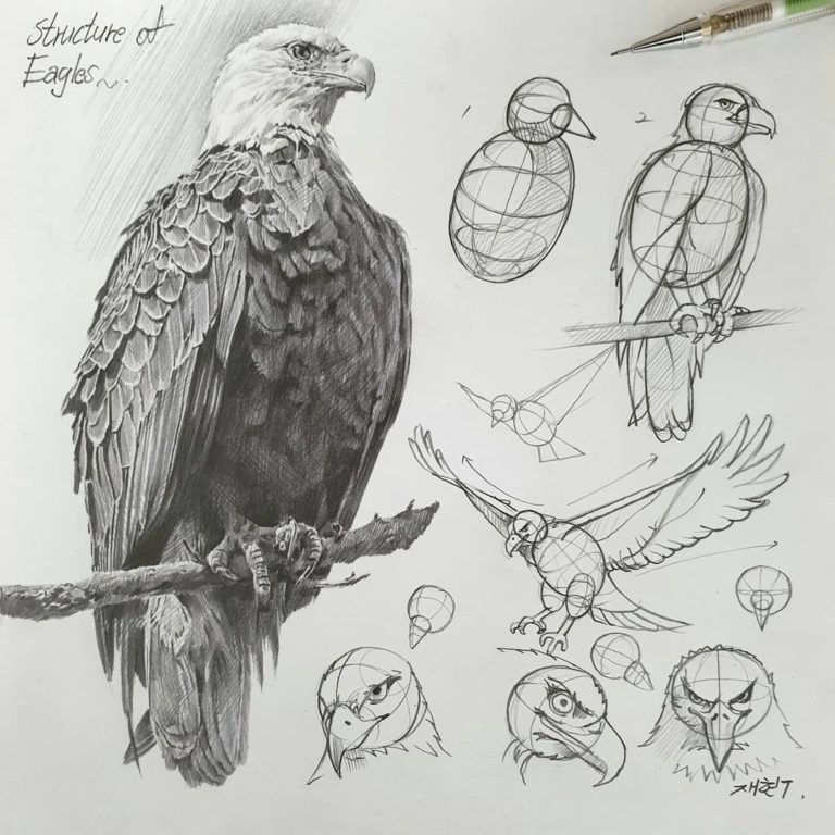 This South Korean Artist’s Structural Drawings Will Help You Improve ...