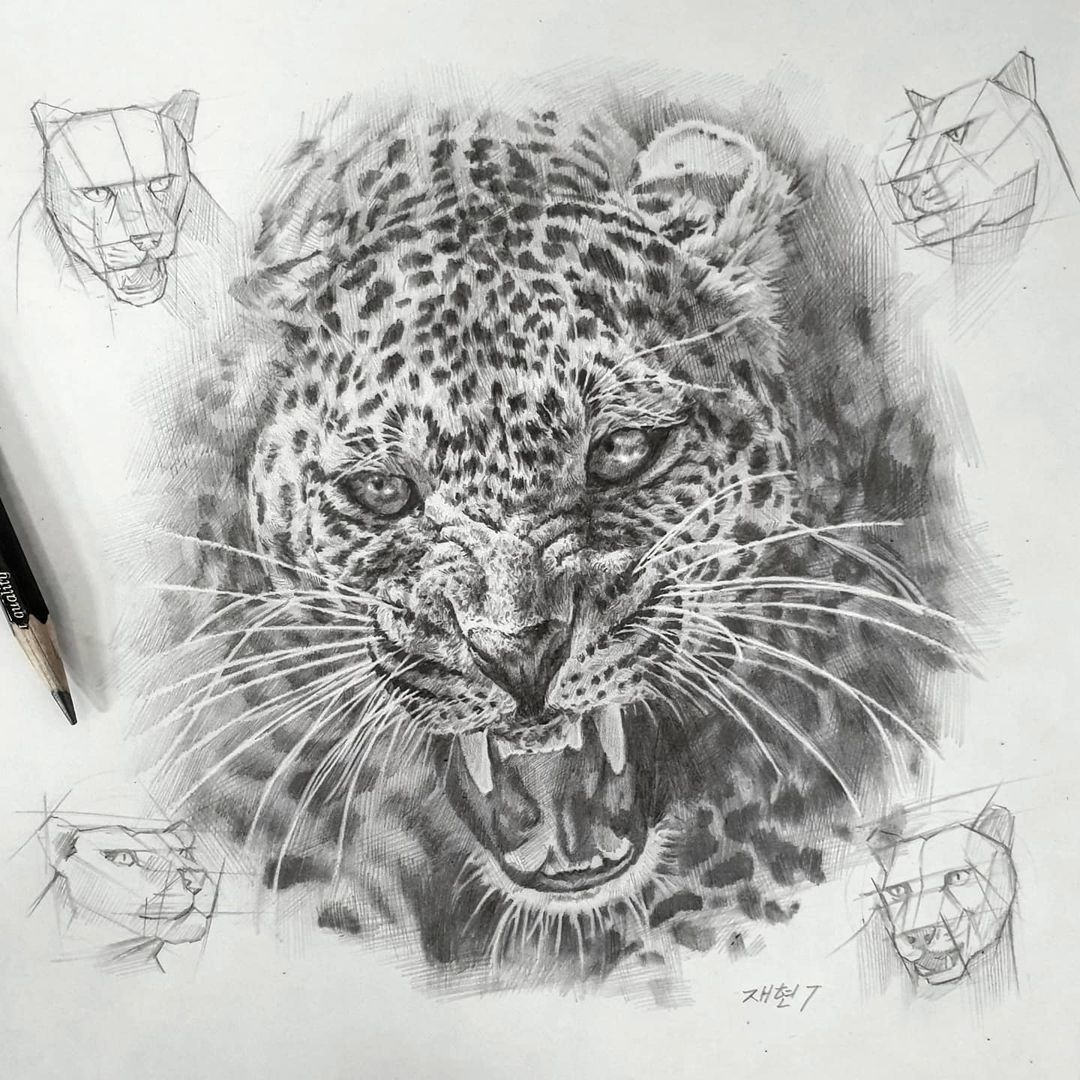 This South Korean Artist’s Structural Drawings Will Help You Improve ...