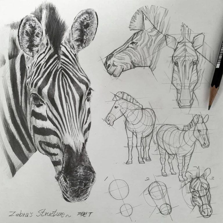 This South Korean Artist’s Structural Drawings Will Help You Improve ...