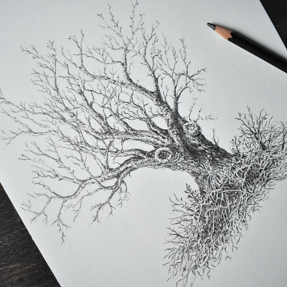 “A Nature Unknown”: Couple Created a Series of Illustrations Inspired ...