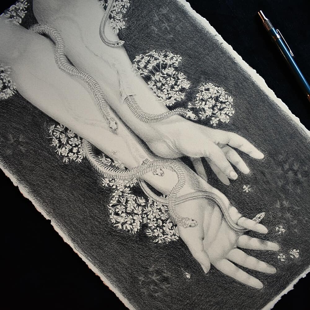 “A Nature Unknown”: Couple Created a Series of Illustrations Inspired ...