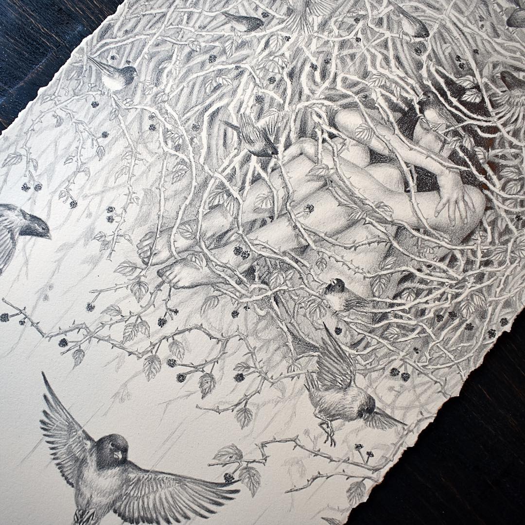 “A Nature Unknown”: Couple Created a Series of Illustrations Inspired ...