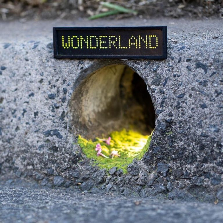 Artist Hides Clever And Funny Signs Around His City For People To Find ...