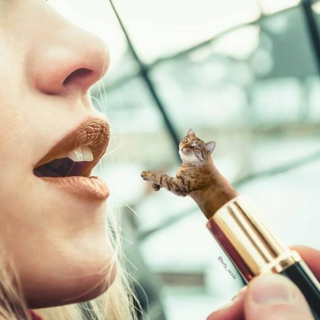 This Artist Shows What Everything Would Look Like If It Had A Cat’s ...