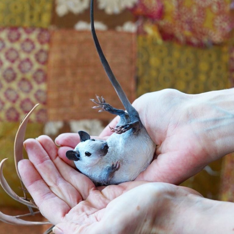 This Artist Merges Animals and Plants into Breathtaking Porcelain ...