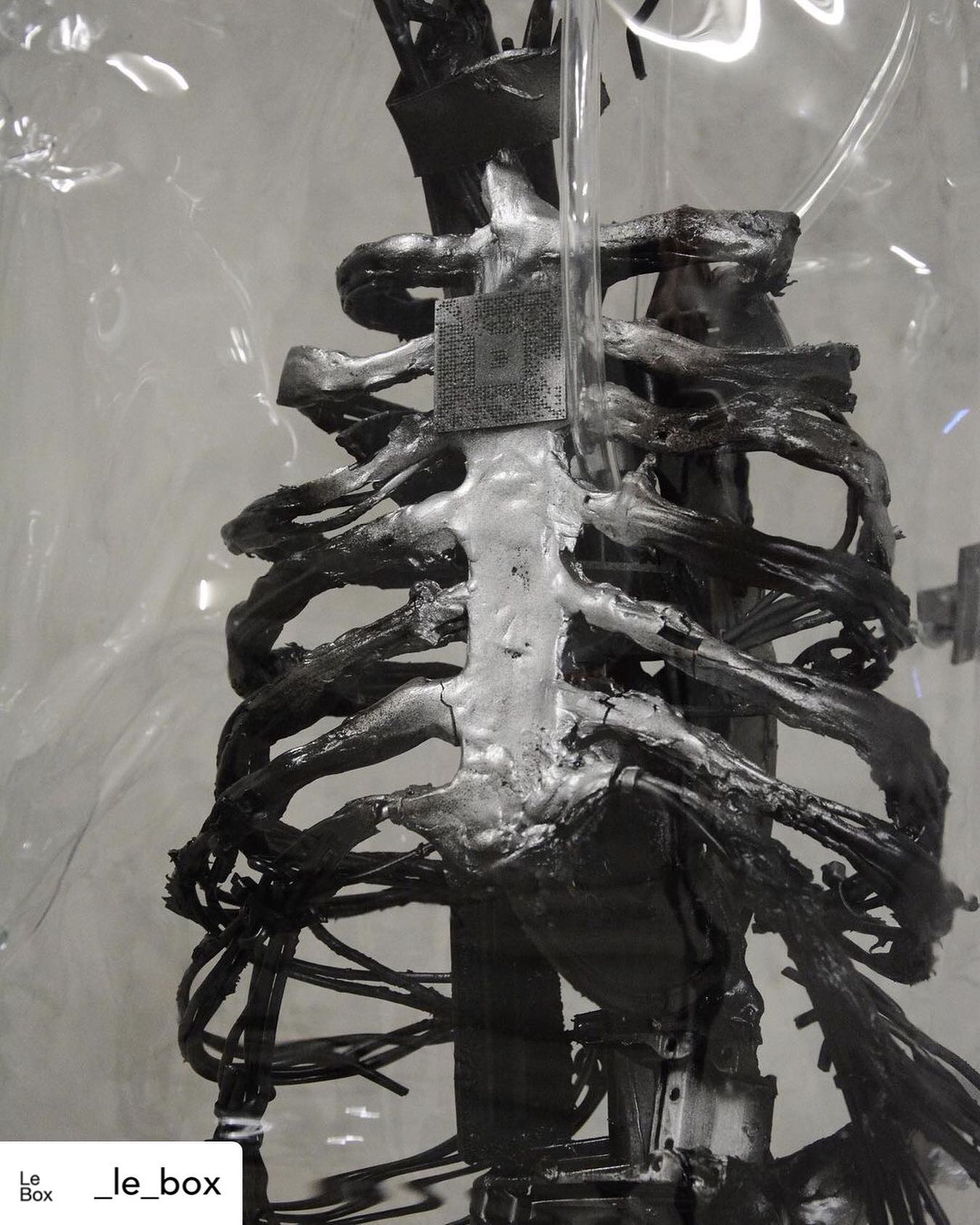 “Reel It In Rule It Out”: The Superb Bionic Sculptures by Yein Lee ...