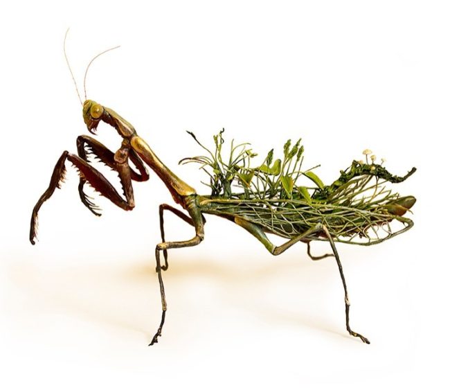 This Artist Merges Animals and Plants into Breathtaking Porcelain ...