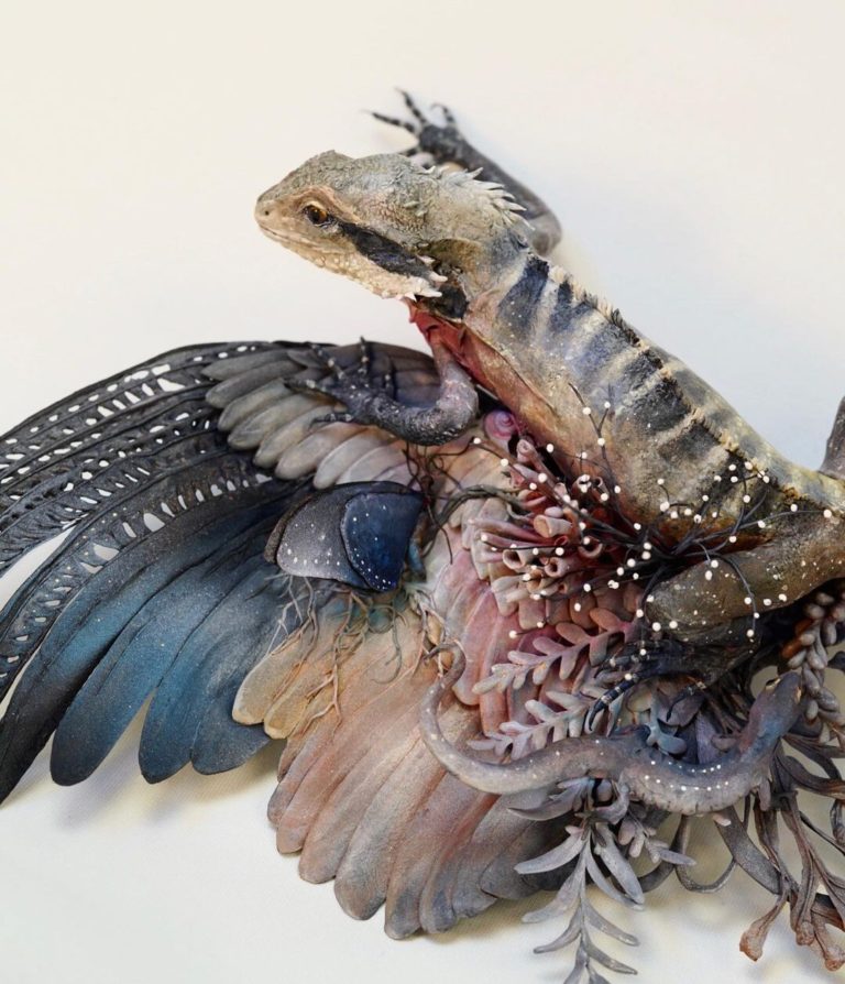 This Artist Merges Animals and Plants into Breathtaking Porcelain ...