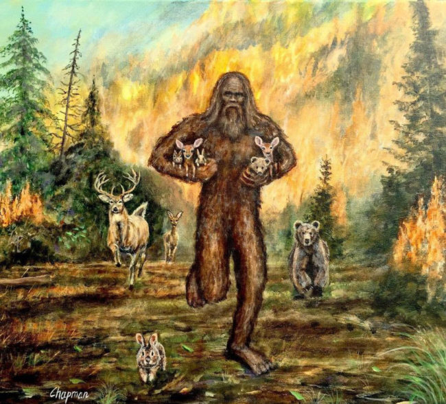 Artist Gives A Comically Exaggerated Representation Of Popular ...
