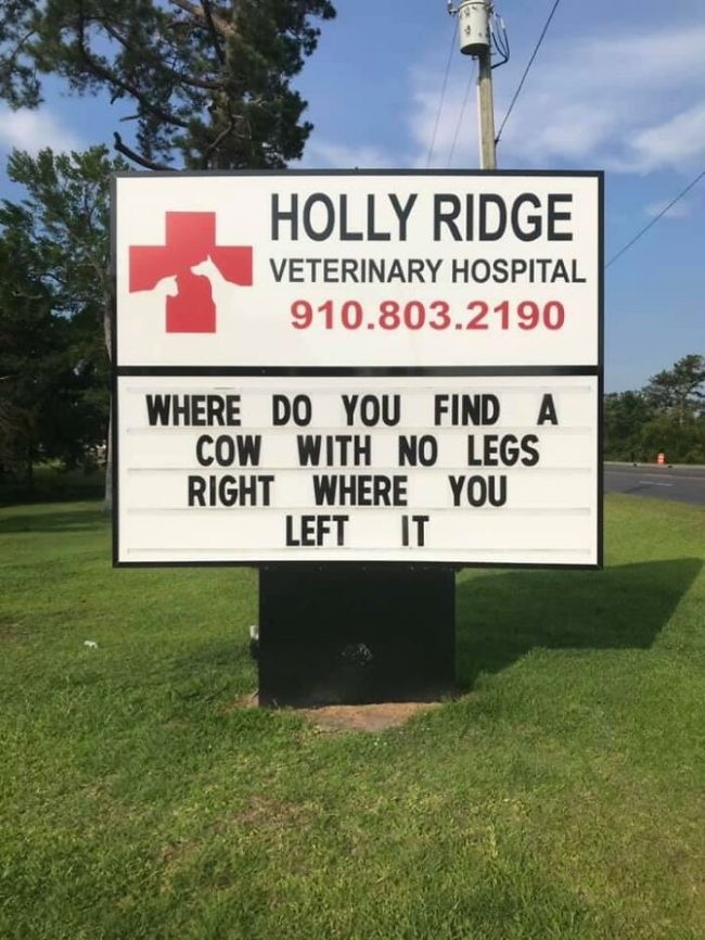 This Vet Clinic Has The Best & Funniest Outdoor Signs » Design You ...