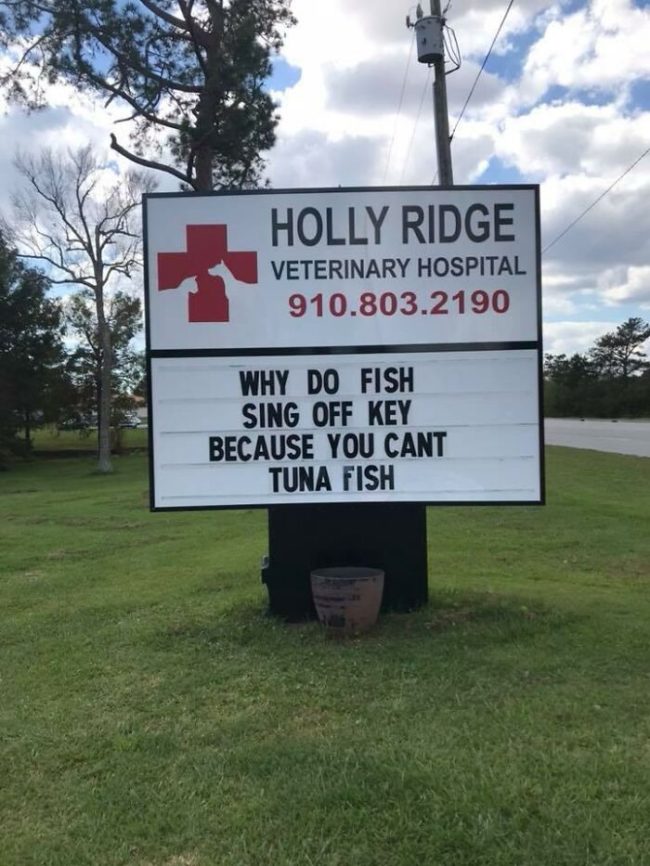 This Vet Clinic Has The Best & Funniest Outdoor Signs » Design You ...