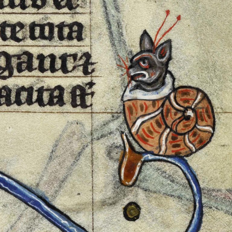 A Collection of Medieval Marginalia that Have Been Turned Into Memes ...
