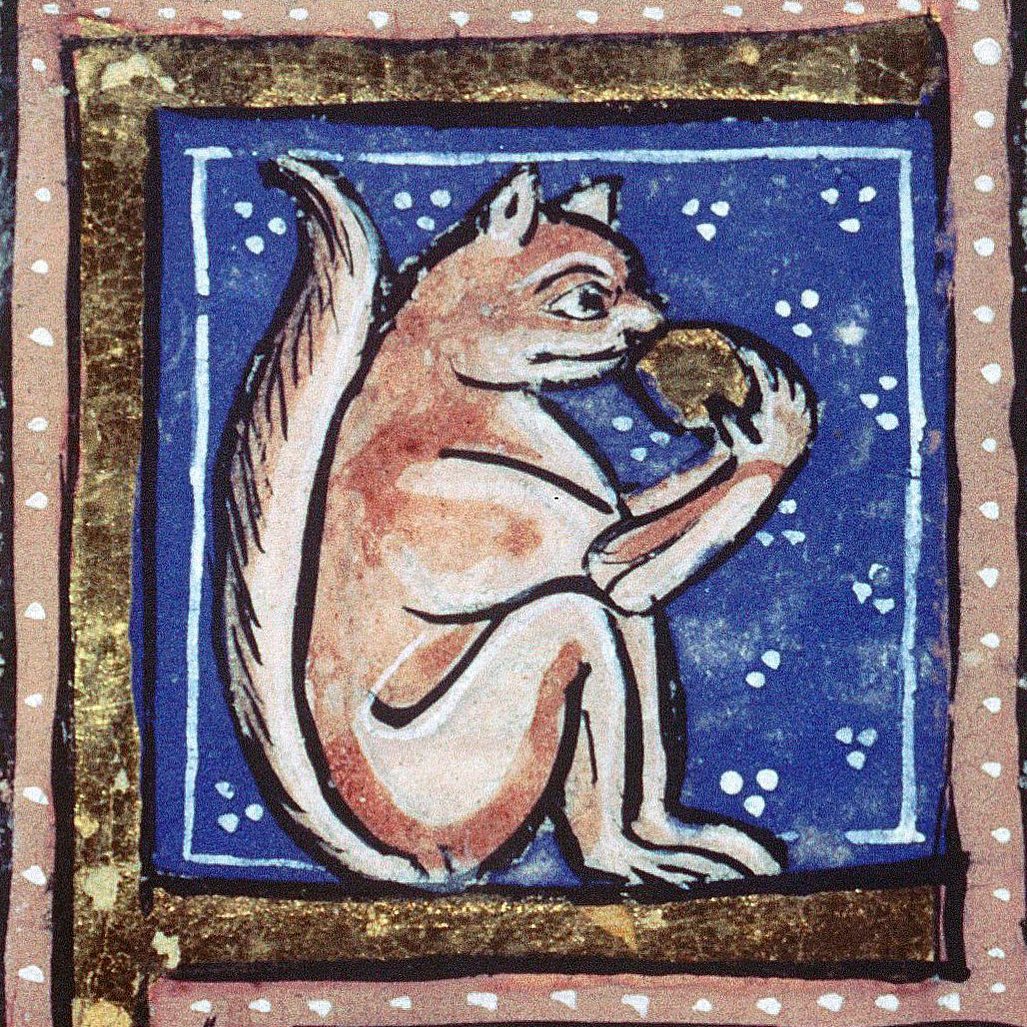 A Collection of Medieval Marginalia that Have Been Turned Into Memes ...