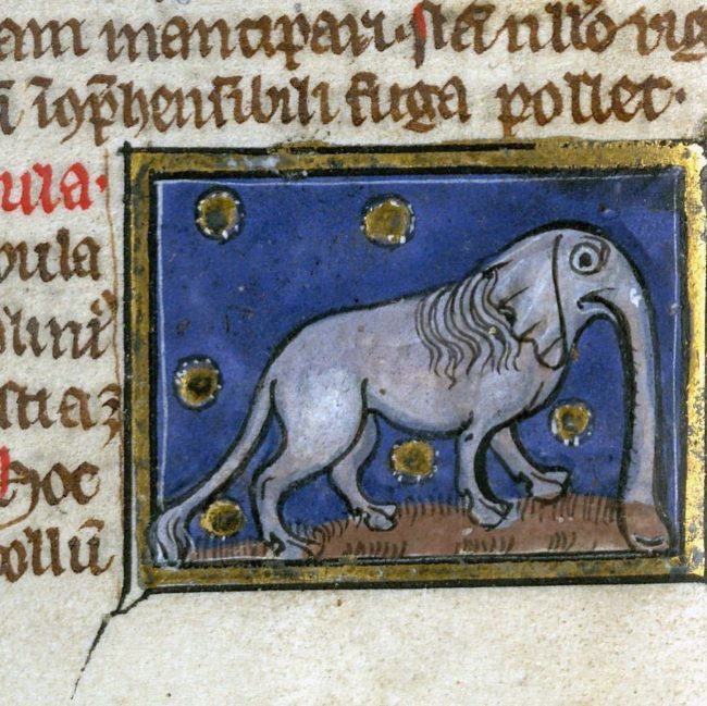 A Collection of Medieval Marginalia that Have Been Turned Into Memes ...