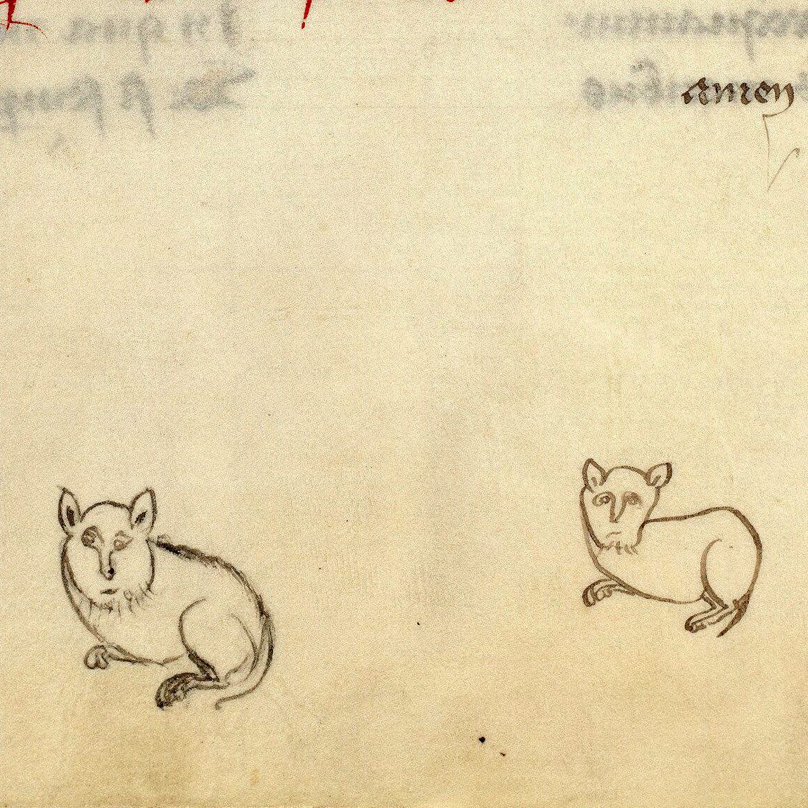 A Collection of Medieval Marginalia that Have Been Turned Into Memes ...