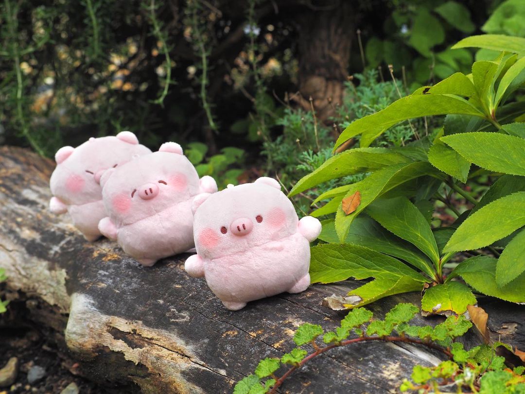 Megumi Fujimoto’s Cute Fat Piglets » Design You Trust — Design Daily ...
