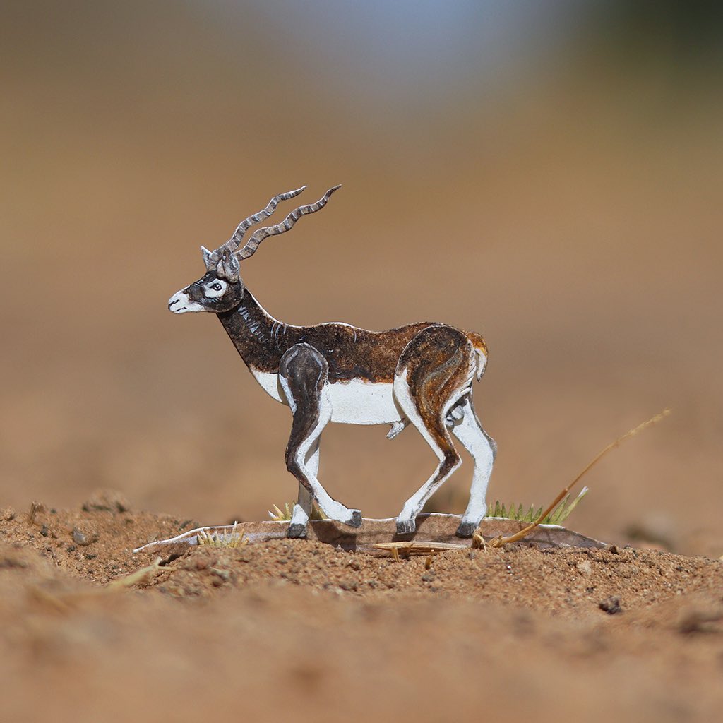 Artist Creates Paper Cutting Illustrations Of Wild Animals To Raise ...