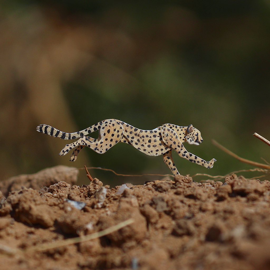 Artist Creates Paper Cutting Illustrations Of Wild Animals To Raise ...