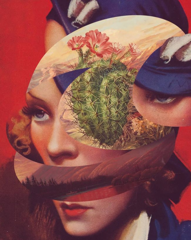 Mindblowing, Bizarre and Provocative Collages by Ffo » Design You Trust ...