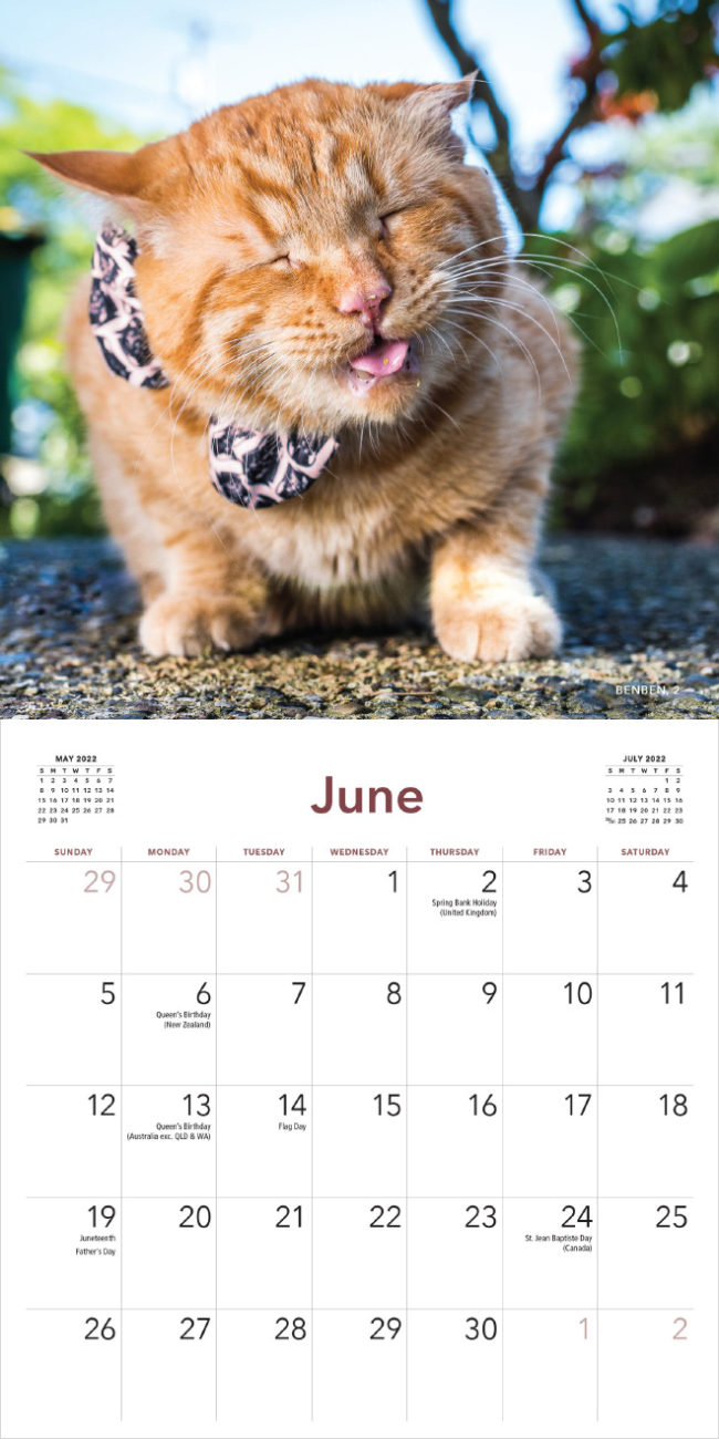 Finally, The 2022 Cats On Catnip Calendar Is Here! » Design You Trust ...