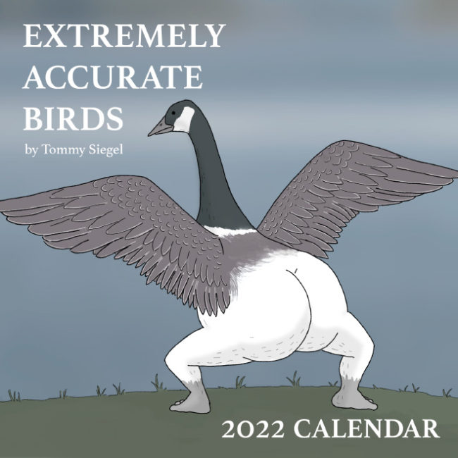 Finally, 2022 Calendar of Extremely Accurate Birds is Here! » Design ...