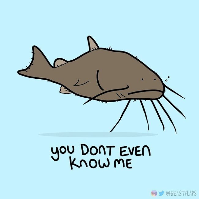This Artist Draws 100 Grumpy Animals » Design You Trust — Design Daily ...