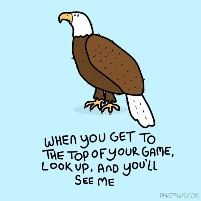 This Artist Draws 100 Grumpy Animals » Design You Trust — Design Daily ...