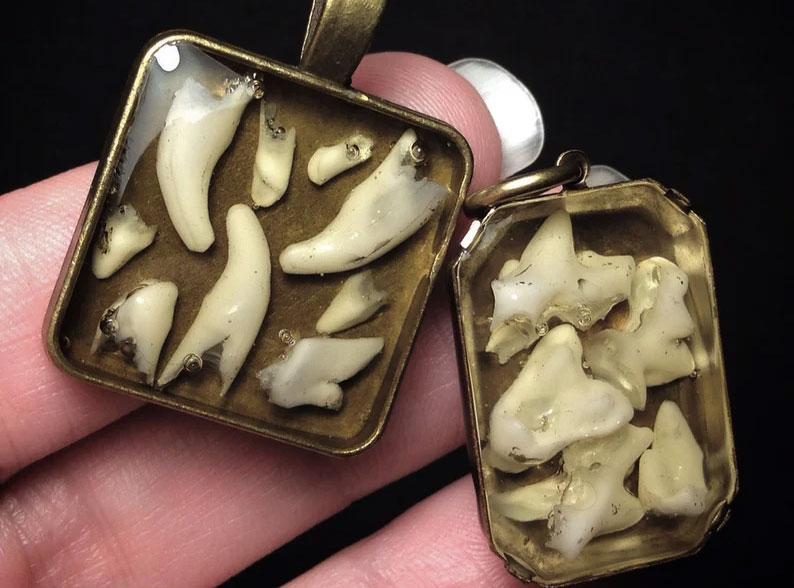 Human Teeth Jewelry by Jana Miller » Design You Trust — Design Daily ...
