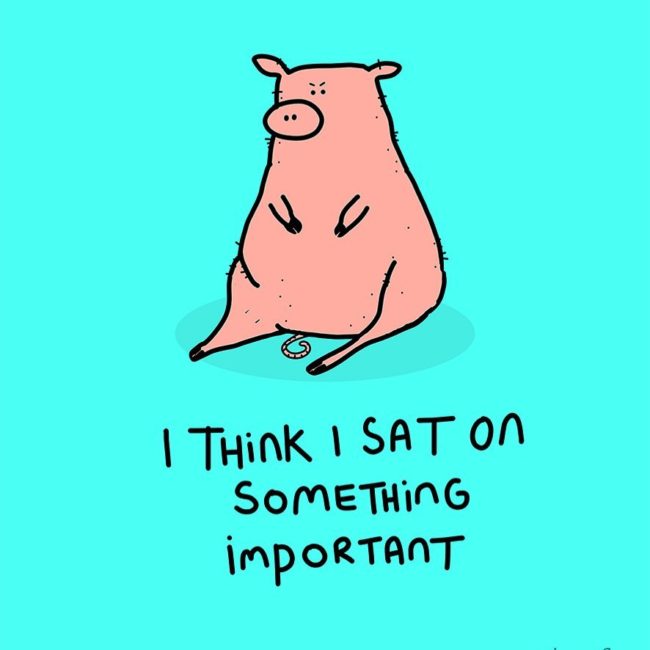 This Artist Draws 100 Grumpy Animals » Design You Trust — Design Daily ...