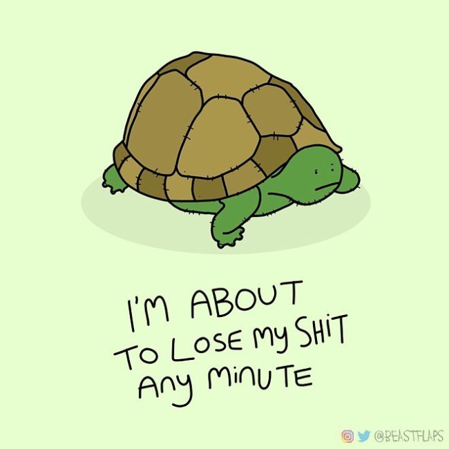 This Artist Draws 100 Grumpy Animals » Design You Trust — Design Daily ...