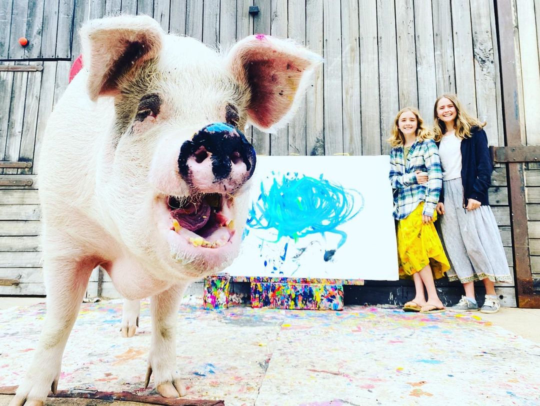 Pigasso: This Pig Enjoys Painting And Has Become The World’s First Pig ...