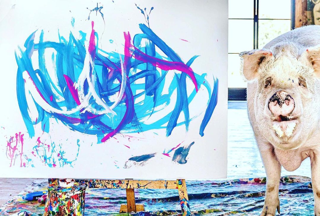 Pigasso: This Pig Enjoys Painting And Has Become The World’s First Pig ...