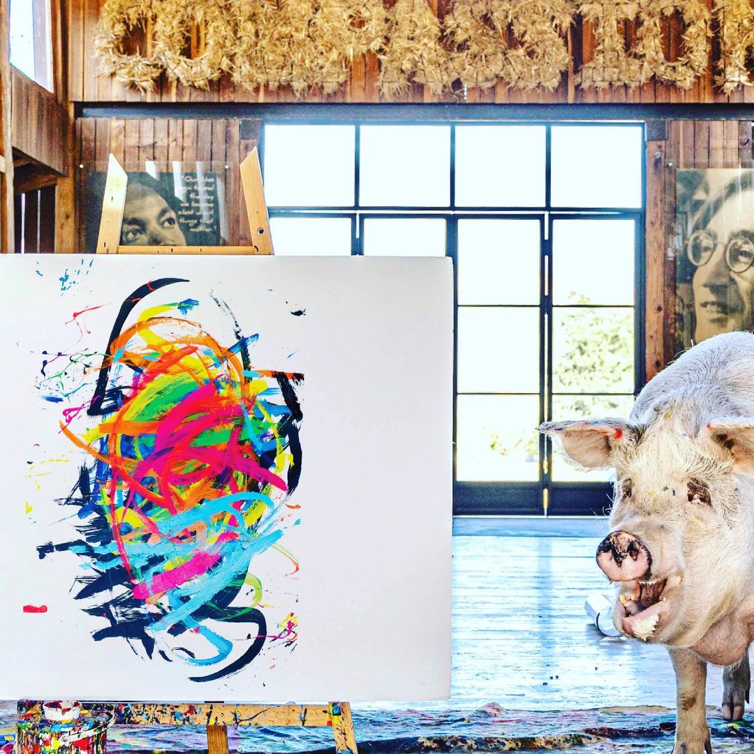 Pigasso: This Pig Enjoys Painting And Has Become The World’s First Pig ...
