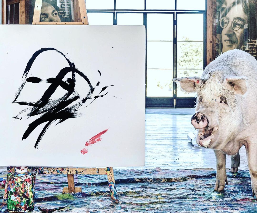 Pigasso: This Pig Enjoys Painting And Has Become The World’s First Pig ...