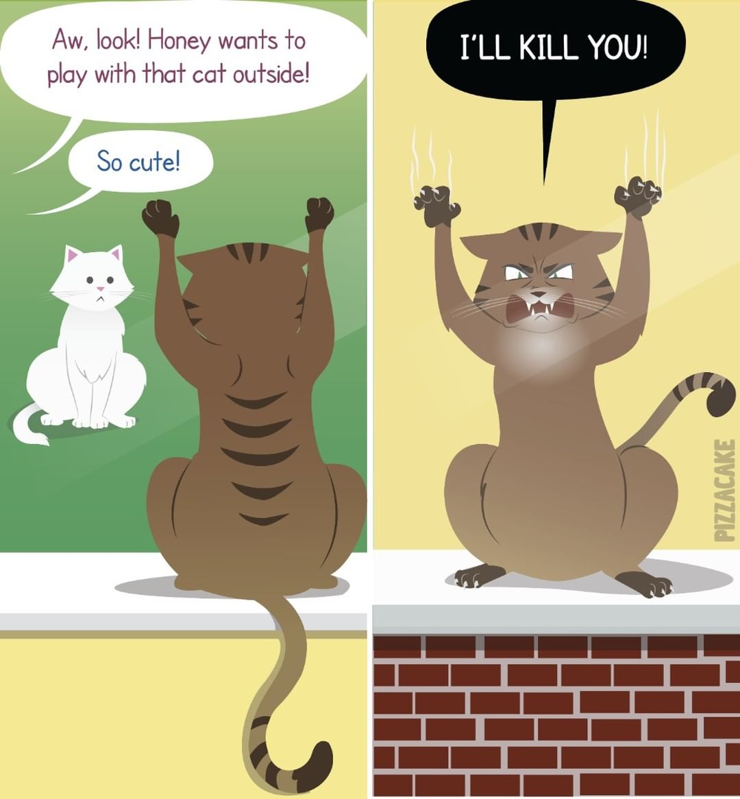 Artist Illustrates Daily Struggles And Life With A Cat In Humorous ...