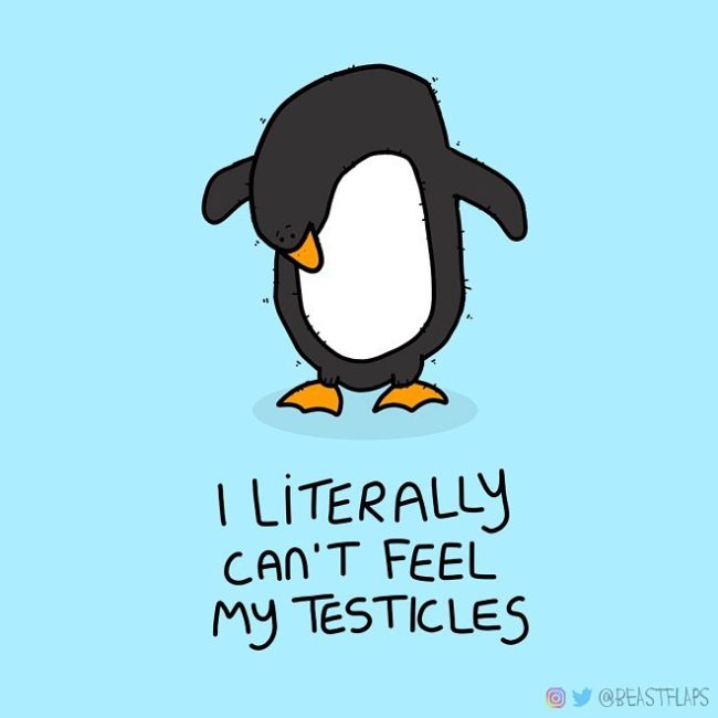 This Artist Draws 100 Grumpy Animals » Design You Trust — Design Daily ...