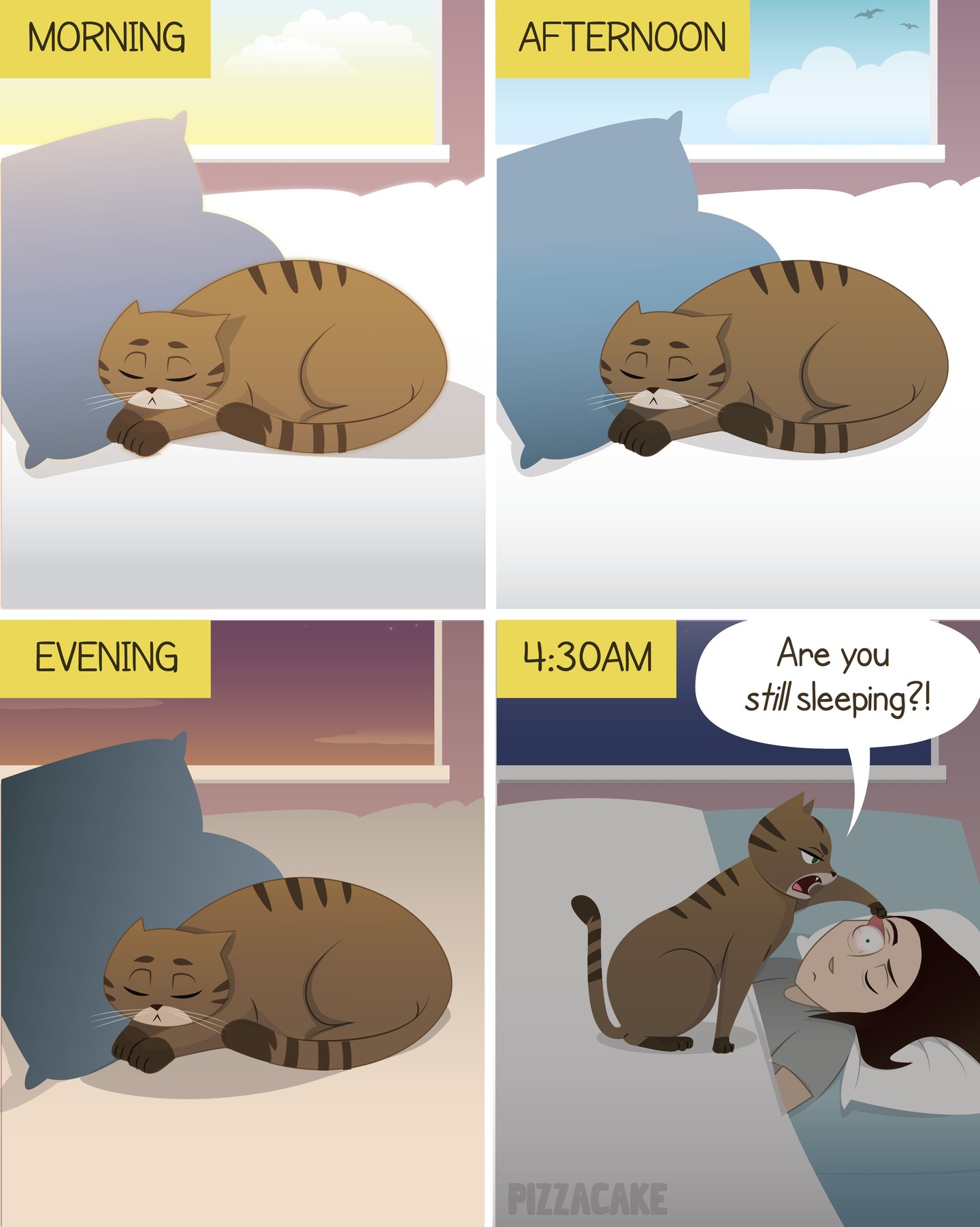Artist Illustrates Daily Struggles And Life With A Cat In Humorous ...