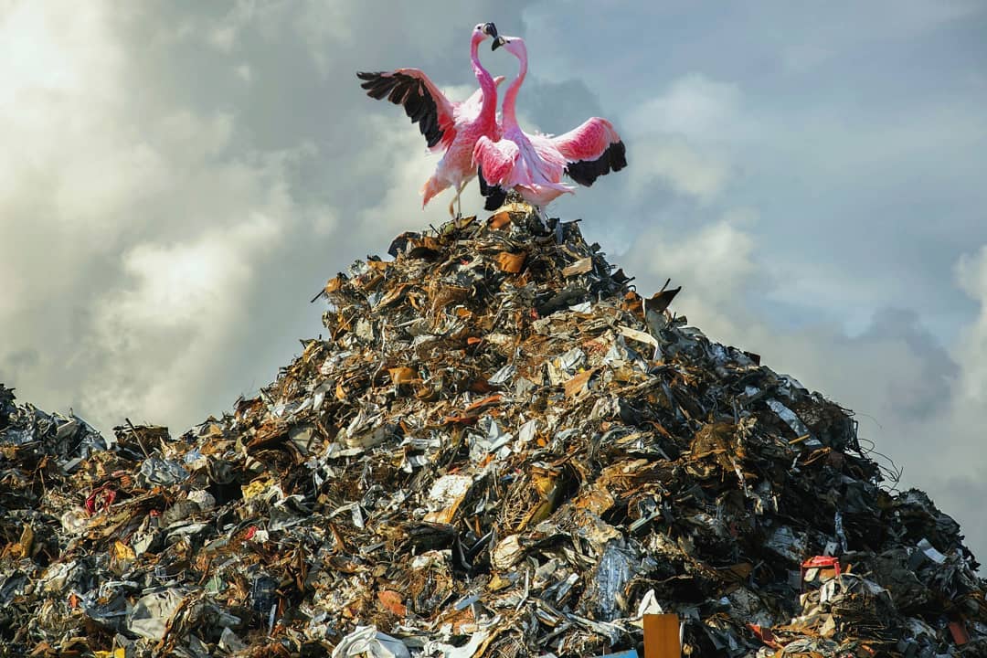 This Artist Crerates Provocative and Bizarre Photo Manipulations ...