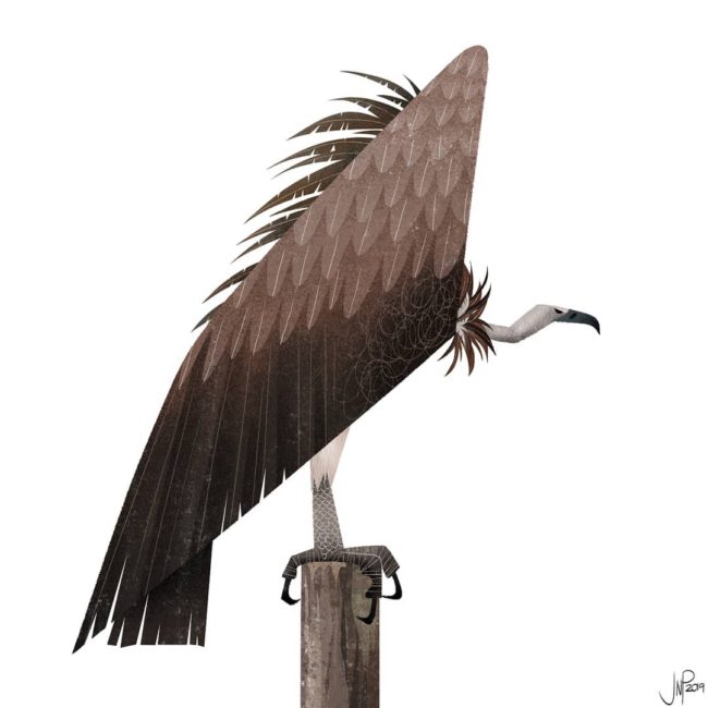 Cutest ‘Angular’ Animals and Characters by Nathan Pangilinan » Design ...