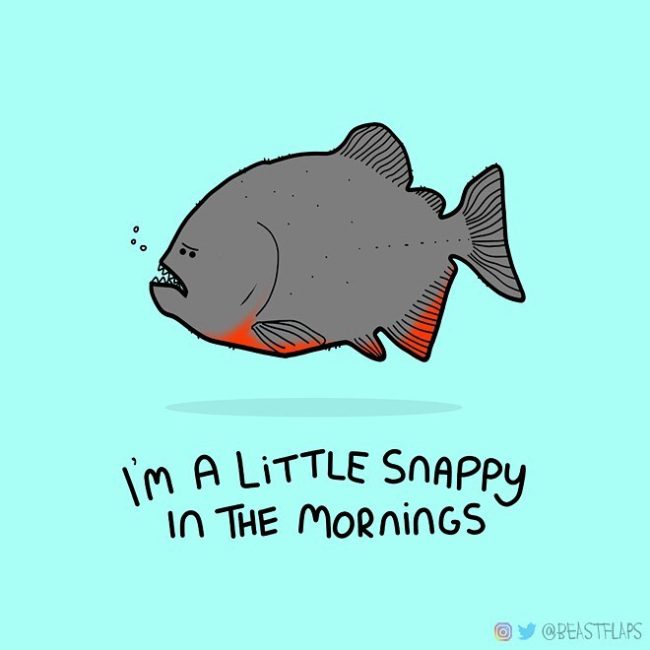 This Artist Draws 100 Grumpy Animals » Design You Trust — Design Daily ...