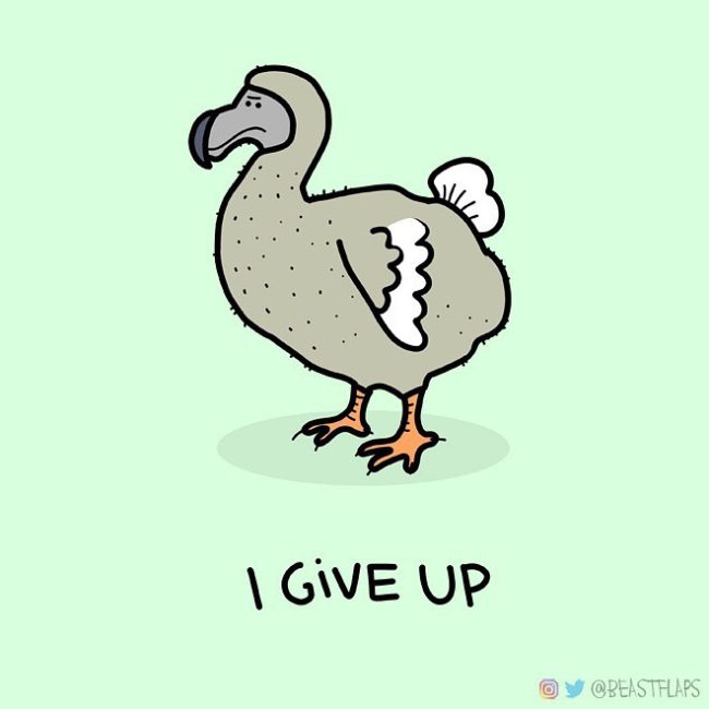 This Artist Draws 100 Grumpy Animals » Design You Trust — Design Daily ...