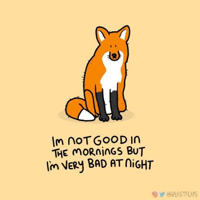 This Artist Draws 100 Grumpy Animals » Design You Trust — Design Daily ...