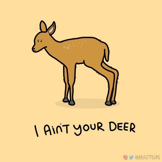 This Artist Draws 100 Grumpy Animals » Design You Trust — Design Daily ...